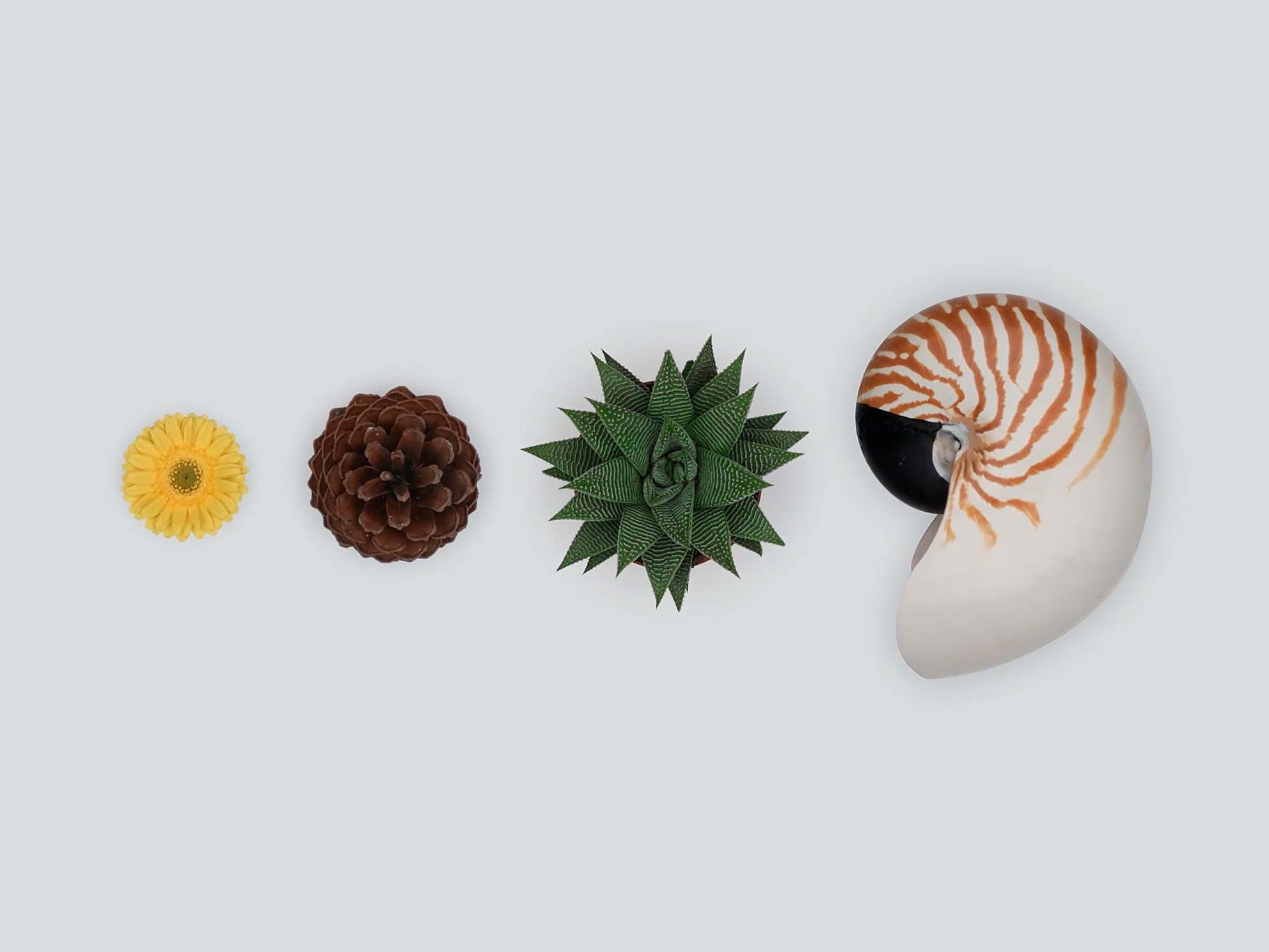 RUDOLF | BIONIC-FINISH® ECO